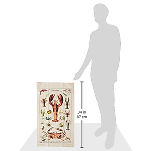 Cavallini Papers Curstaceans Vintage Crustaceans Cotton Tea Towel