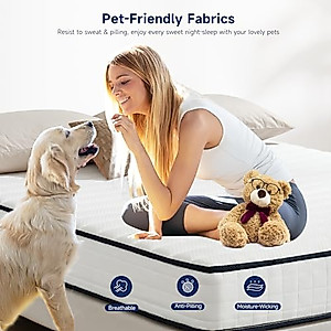 Z-hom Full Mattress 8 Inch, Full Size Mattresses Hybrid Innerspring Mattress in a Box, Full Foam Spring Mattress with Motion Isolation & Pressure Relief for Full Bed Frames, Medium Soft, White