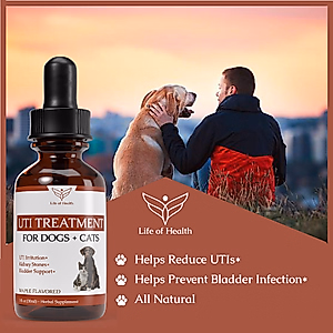 Cat & Dog Urinary Tract Infection Treatment - Helps with Bladder, Kidney, Incontinence, & More - Cat UTI - Dog UTI Treatment - Feline UTI Treatment - Cat UTI Remedy - Dog UTI - 1 fl oz