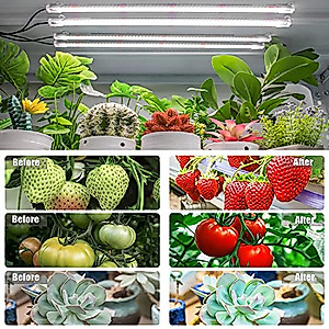 Wiaxulay LED Plant Grow Light Strips, 36W 240LEDs Full Spectrum Grow Lights for Indoor Plants, Grow Lamp with Auto On/Off 3/9/12H Timer 10 Dimmable Levels and 3 Switch Modes for Seedling