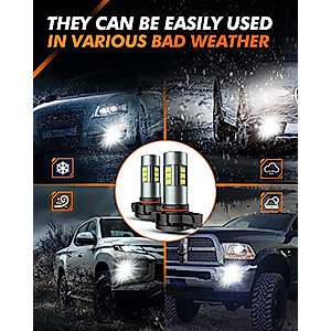 SEALIGHT 5202 Fog Lights Bulbs Bundle 9005 H11 LED Bulbs Combo, 240W 44000 Lumens H11/H9/H8 9005/HB3 LED Bulbs, 700% Brightness Over 60,000-Hours Lifespan, 3-Min Installation Halogen Replacement Kit