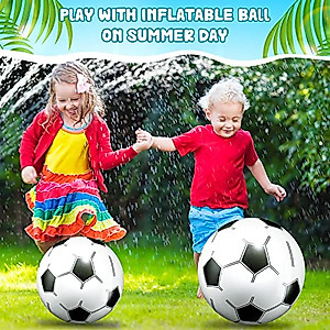 Charniol 24 Pieces Inflatable Beach Ball 14 Inch 16 Inch Beach Soccer Ball Blow up Pool Ball Inflatable Soccer Ball Beach Game Toys for Summer Outdoor Swimming Pool Games Activity Party Favors Decor