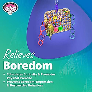 Super Bird Creations SB741 Seagrass Mini Activity Wall Bird Toy, Medium Bird Size, 9” x 7” x 2”