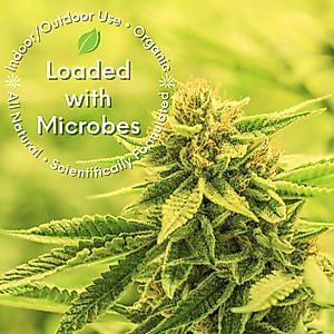 BENEFIT CANN Compost Primer .64 Ounce Organic Fertilizer, Guaranteed Analysis: 1-1-1. Beneficial Soil Microbes & Soil Mycorrhiza, 5 Billion Colony Forming Units/Gran. Use in Any Composting Operation