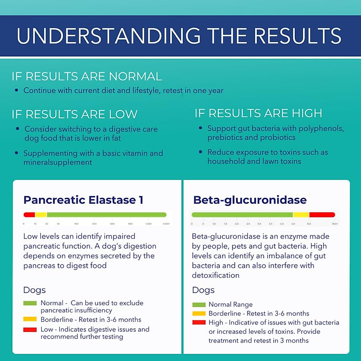 Innovative Pet Lab Digestion & Detox at-Home Test Kit - Expert Panel Insights for Dog's Microbiome and Digestive Health - Essential Pet Supply for Overall Wellness