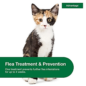 Advantage Topical Cat Flea Treatment and Prevention for Small Cats 2-9 lbs. | Apply Flea Drops Monthly | 2 Treatments