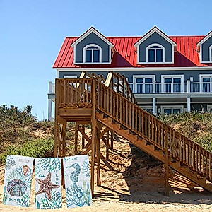 Kay Dee Designs Set of 3 Beachcomber Dual Purpose Terry Kitchen Towels