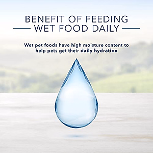 Blue Buffalo Delights Natural Adult Small Breed Wet Dog Food Cup, Filet Mignon Flavor in Hearty Gravy 3.5-oz (Pack of 12)