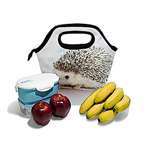 senya Lunch Bag Hedgehog Printed Neoprene Tote Reusable Insulated Waterproof School Picnic Carrying Gourmet Lunchbox Container Organizer For Men, Women, Adults, Kids, Girls, Boys