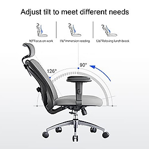SIHOO M18 Ergonomic Office Chair for Big and Tall People Adjustable Headrest with 2D Armrest Lumbar Support and PU Wheels Swivel Tilt Function Grey