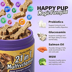 Charlie & Buddy Dog Multivitamin 21 in 1 - Dog Vitamins and Supplements with Vitamin C Multivitamin for Dogs - Chicken Flavour Dog Vitamins Soft Chews - 90ct