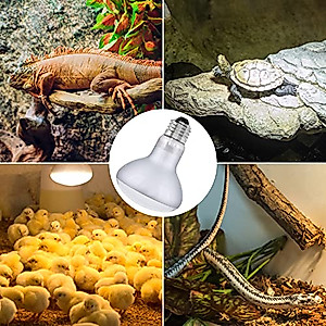 Dallfoll 2 Pack Reptile Heat Lamp Bulbs, 50W Amphibian UVA Basking Light Bulbs, Reptile Daylight Spot Light Bulbs for Turtle, Lizard, Beard Dragon
