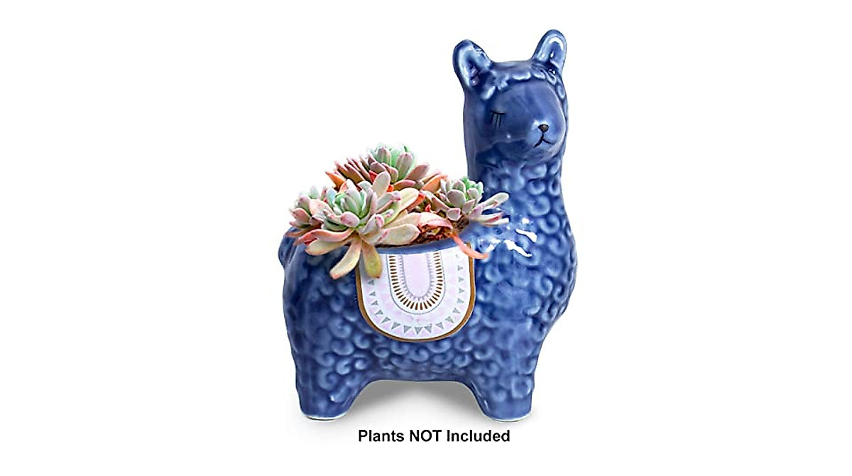 Dahlia Cute Llama Planter for Succulents - Blue