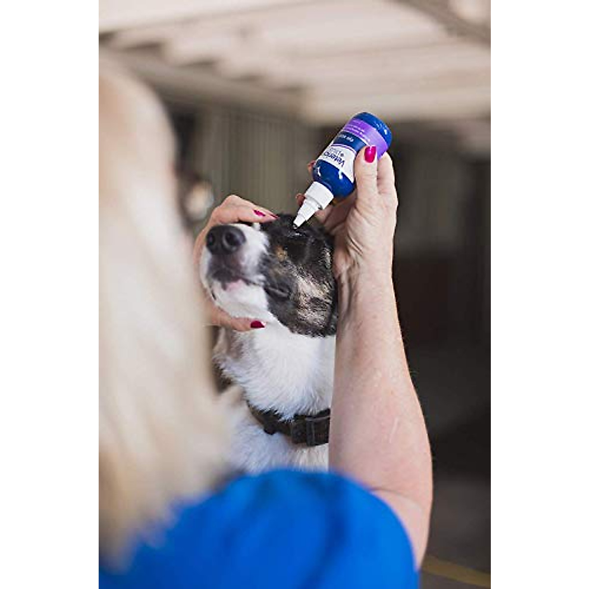 Terramycin eye ointment for cats, dogs & horses 1/8oz with Vetericyn Plus Eye Wash 3oz and OptixCare 50ct Eye Wipes Tear Stain Remover - Eye drops for infection Complete Ophthalmic Master Set