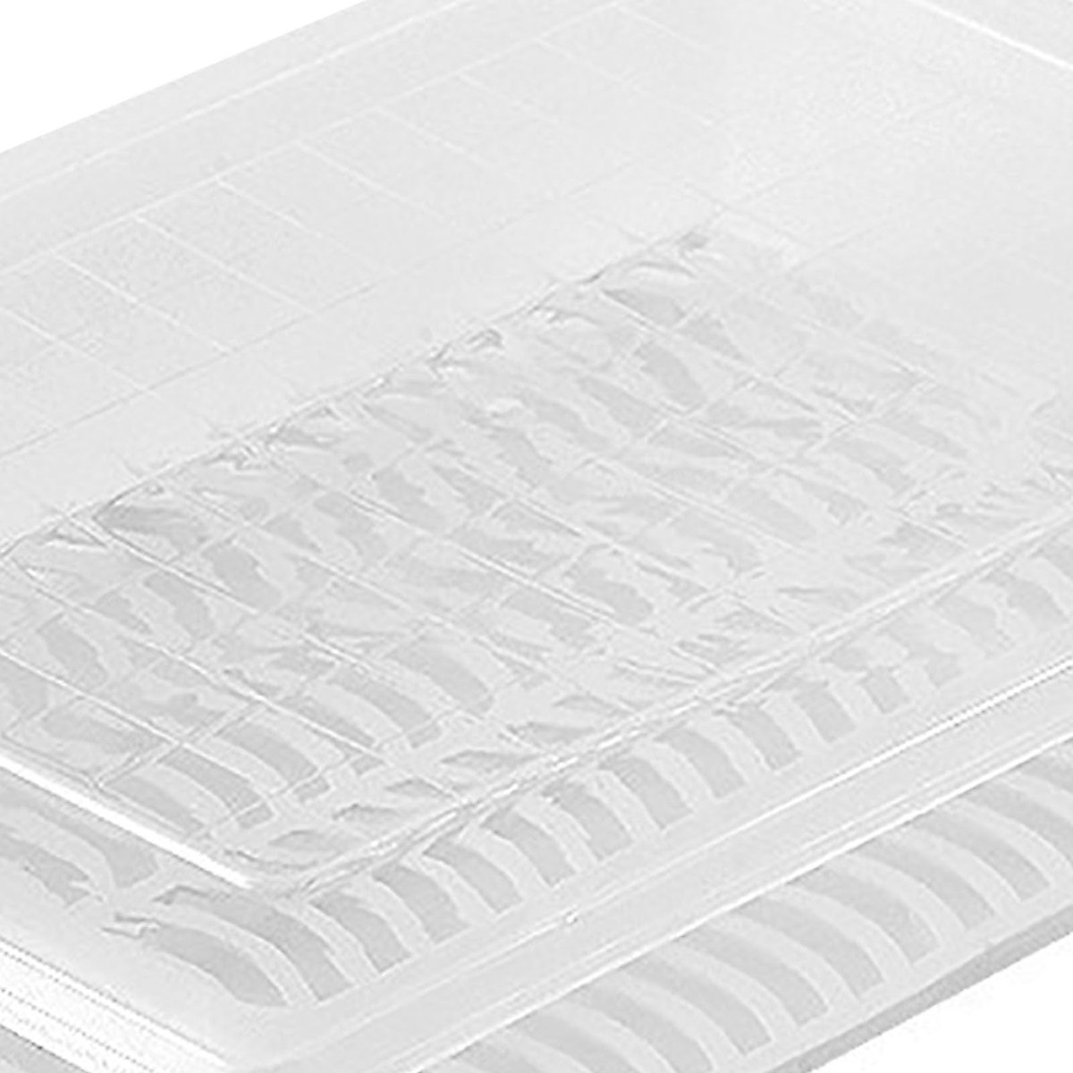 BEIJIALY Plastic Food Containers with Removable Drain Plate and Lid, Fridge Food Box Transparent Rectangular Versatile Food Storage Container Stackable Produce Containers for Home