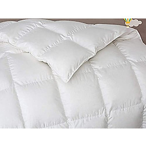 Baby Goose Lightweight All Season BabyToddler White Goose Down Comforter Duvet Insert for Crib Bedding 100 Percent Cotton Shell Down Proof (White, 33x43in)