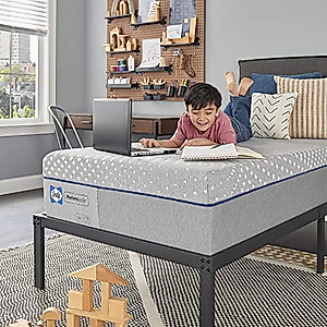 Sealy Posturepedic Foam Lacey Firm Feel Mattress, Twin