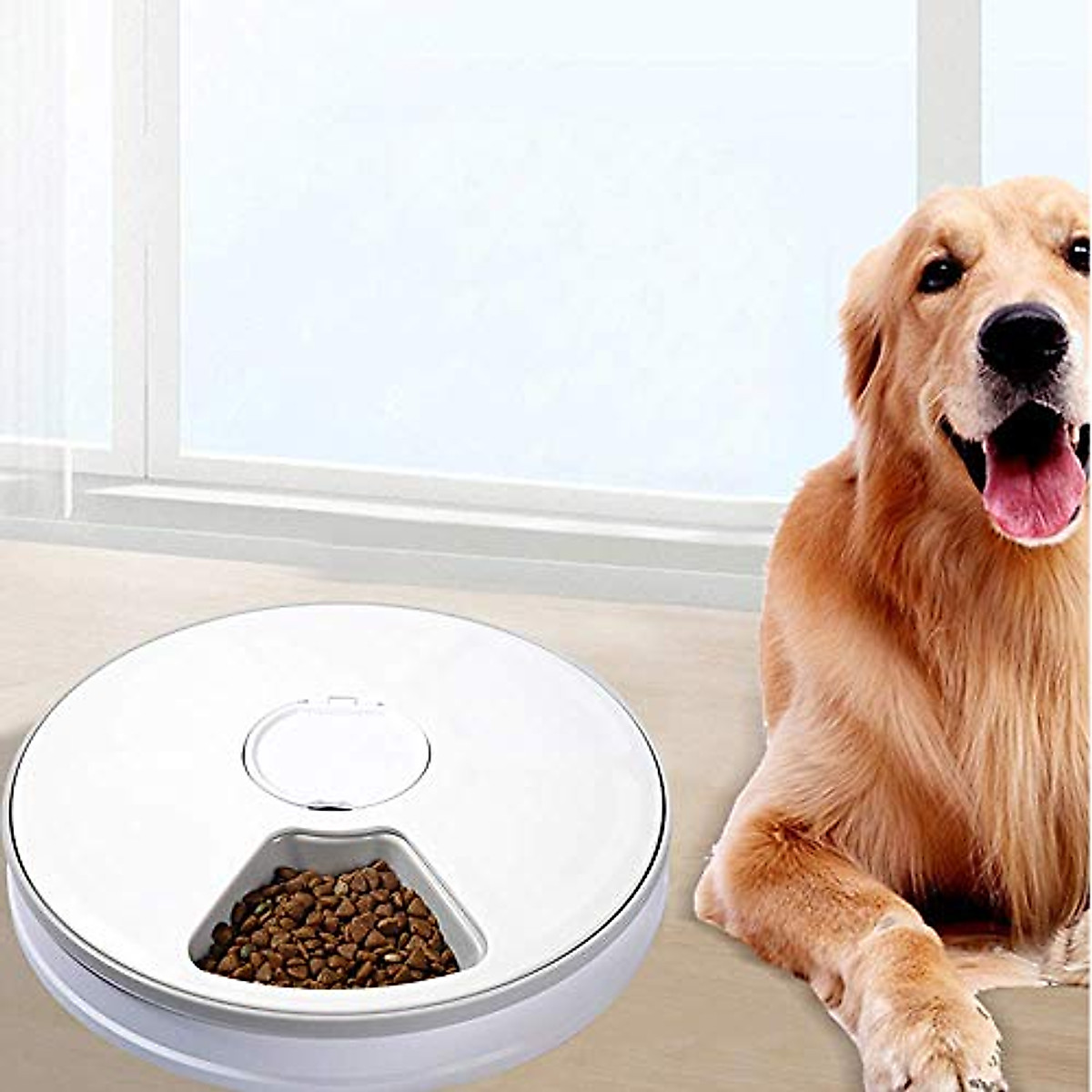 ZH1 Cat and Dog Food Dispenser, Automatic Pet Feeder with 6-Segment Dial with LCD Display, Voice Reminder, for Cats and Small and Medium Pets.
