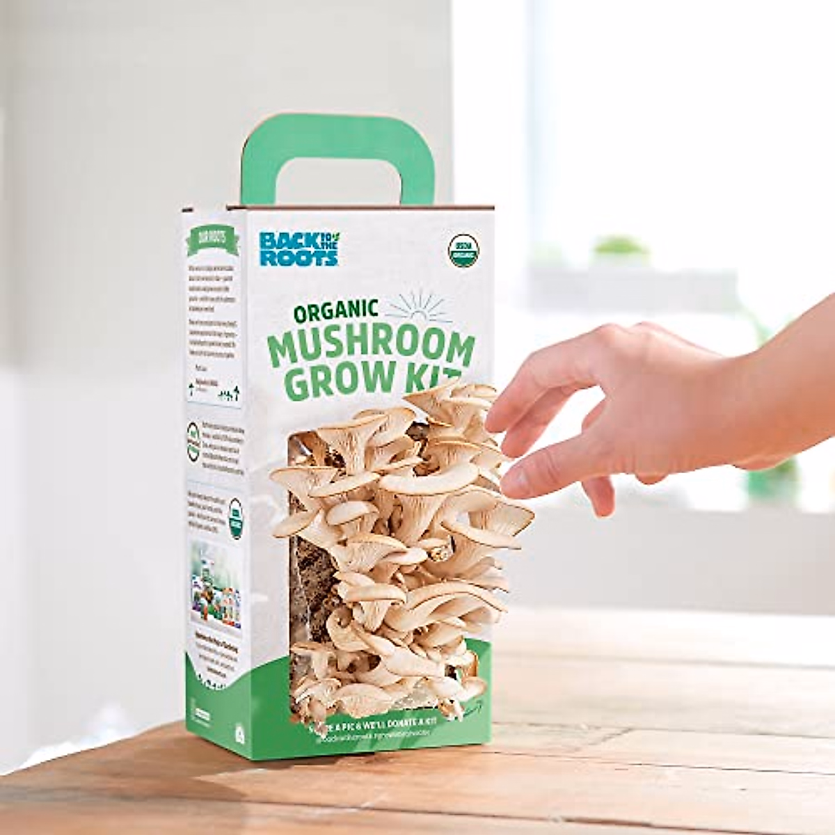 Back to the Roots Organic Oyster Mushroom Grow Kit, Harvest Gourmet Mushrooms In 10 Days