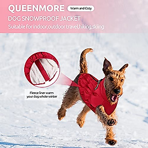 Queenmore Warm Dog Winter Jacket, Fleece Lining Dog Cold Weather Coats, Windproof Turtleneck Dog Vest with Neckline D-Ring, Snowproof Dog Jacket for Small Medium Large Dogs