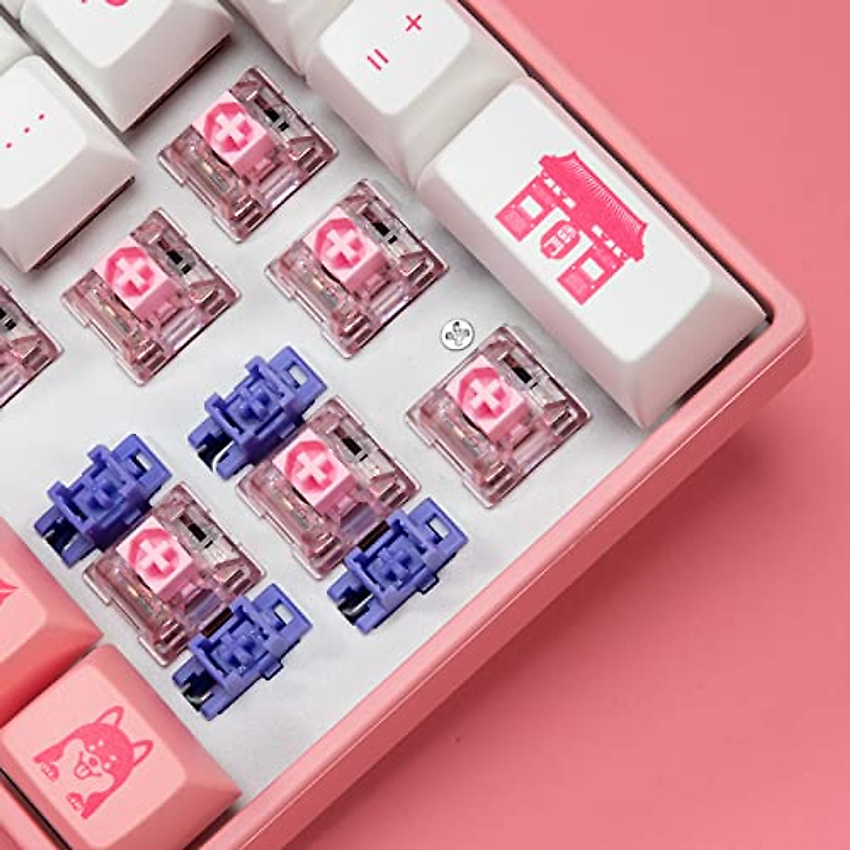 Akko World Tour Tokyo 3061S 60% Pink Wired Mechanical Gaming Keyboard, RGB Backlit, Hot-swappable Wired with OSA Profile PBT Keycaps and NKRO (Jelly Pink Switches)