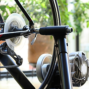 Saris Quick Release Bike Trainer Skewer, Rear Wheel Skewer Replacment Axle for Indoor Bicycle Trainer