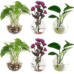 DZHJKIO Pack of 6 Glass Planters Wall Hanging Planters Round Glass Plant Pots Hanging Air Plant Pots Flower Vase Air Plant Terrariums Wall Hanging Plant Container, 12 cm Diameter