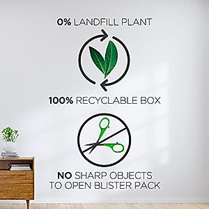 Air Wick Plug in Scented Oil Refill, 10ct, Fresh Waters, Eco Friendly, Essential Oils, Air Freshener