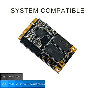GreenTouch Msata 64GB Internal Solid State Drive Mini Sata SSD Disk 64GB for Table pc, Desktop