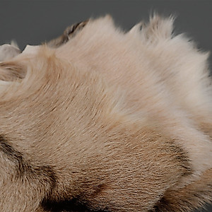 Natural Tanned Antelope Fur Pelts Real Goat Hides Sheepskin Leather Fur Rugs Handbag Scarf Clothing Accessories (Light Brown, Length: 15.7-26 in, Width: 11.8-21.6 in),1 pcs