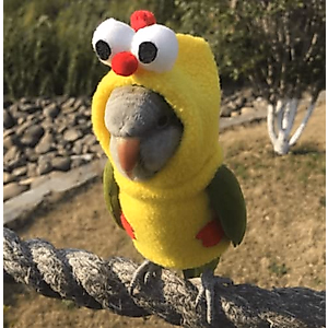Bird Costume Bird Diaper Flight Suit Bird Chicken Shape Bird Clothes Cosplay Photo Prop for Parrots Lovebird Parakeet Cockatiel Small Animals Apparel (Cockatiel)