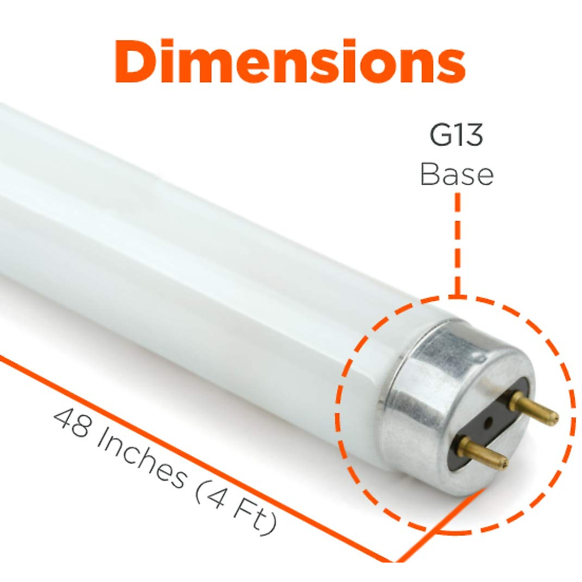 GoodBulb 48-Inch T8 Fluorescent Light Bulbs 32-Watt, 5000K Daylight White Color, 2900-Lumens, G13 Medium Bi-Pin Base (Pack of 25 Bulbs)