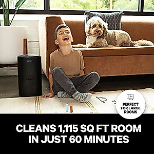 Cleaner Air Package: HEPA 14 Purifier With An Extra Filter