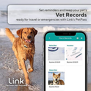 Link GPS Dog Tracker + Activity Monitor | Training Tools, Health Tracker, Waterproof, Flashlight, Lightweight, PetPass & Vet Record Storage, Fits On Most Collars | iPhone & Android Apps