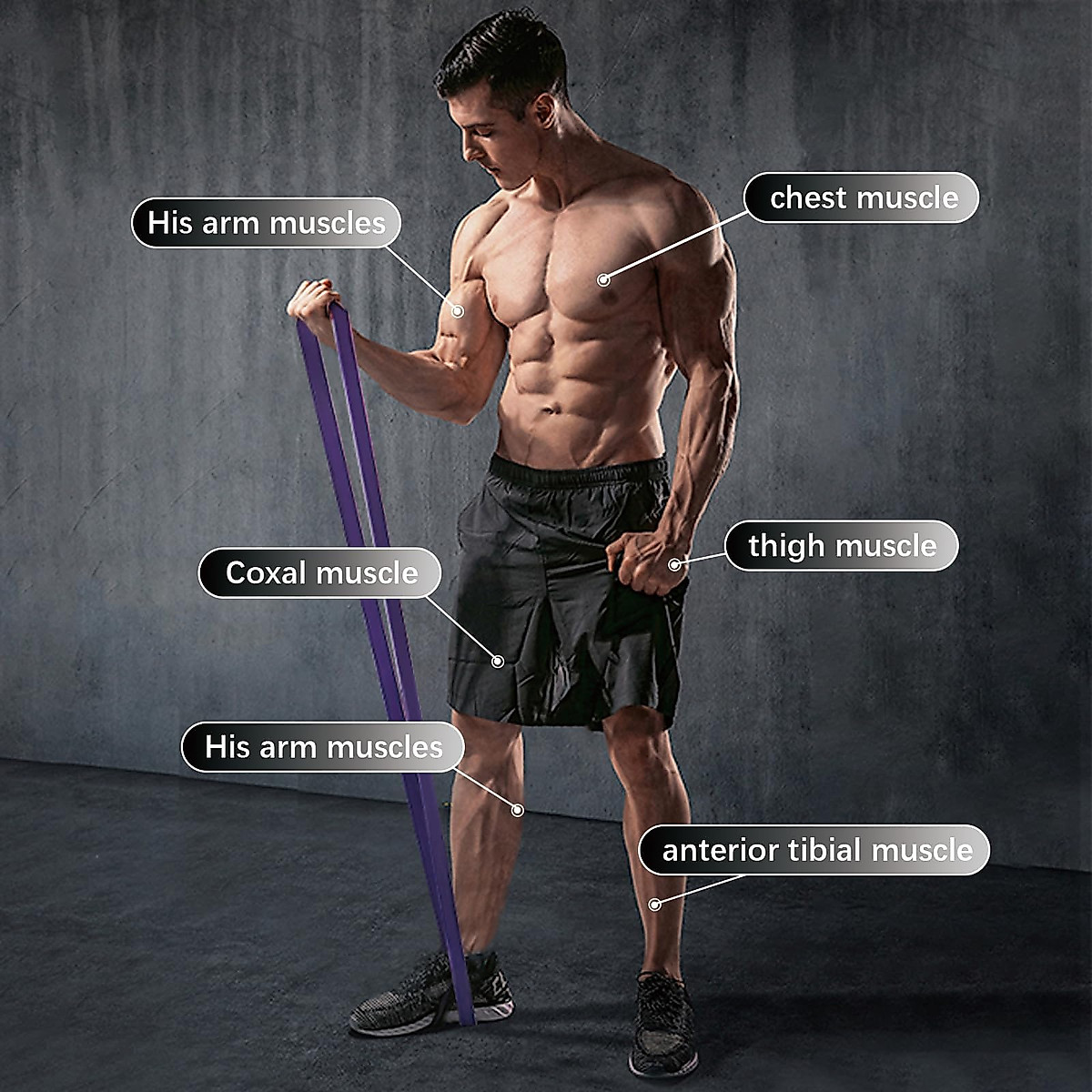 Acull Resistance Bands for Working Out, Pull Up Assistance Bands, Exercise Bands, Workout Bands, Excersing Bands, Resistance Band Set for Men Women, Stretch Bands for Physical Therapy, Home Workouts