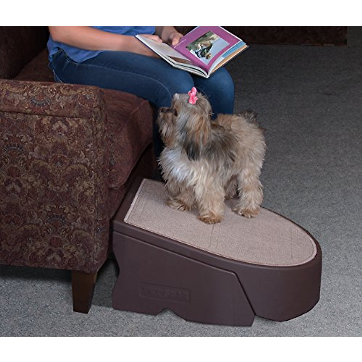 Pet Gear Stramp Stair and Ramp Combination for Dogs/Cats, Easy Step, Lightweight/Portable, Sturdy, Easy Assembly (No Tools Required) 2 Models, 3 Colors