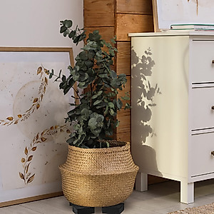 Sawysine 48 Pack Invisible Pot Feet Solid Black Pots Risers Round Square Plant Riser EVA Planter Feet Adhesive Flower Pot Lifter for Indoor Outdoor Planters Garden Plant Pots Flowers