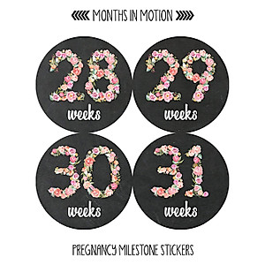 Months In Motion Pregnancy Weekly Belly Growth Stickers - Week to Week Pregnant Expecting Photo Prop - Maternity Keepsake - Baby Bump - Large Set of 36 Weekly Photo Sticker