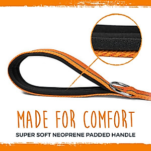 Mighty Paw Dog Leash - Soft Padded Handle - D-Ring and Pet Leash Clip - Carabiner Clip - Weatherproof with Reflective Stitching - 6 Foot Long Dog Leash for All Dog Breeds - Dog Walking Leash (Orange)