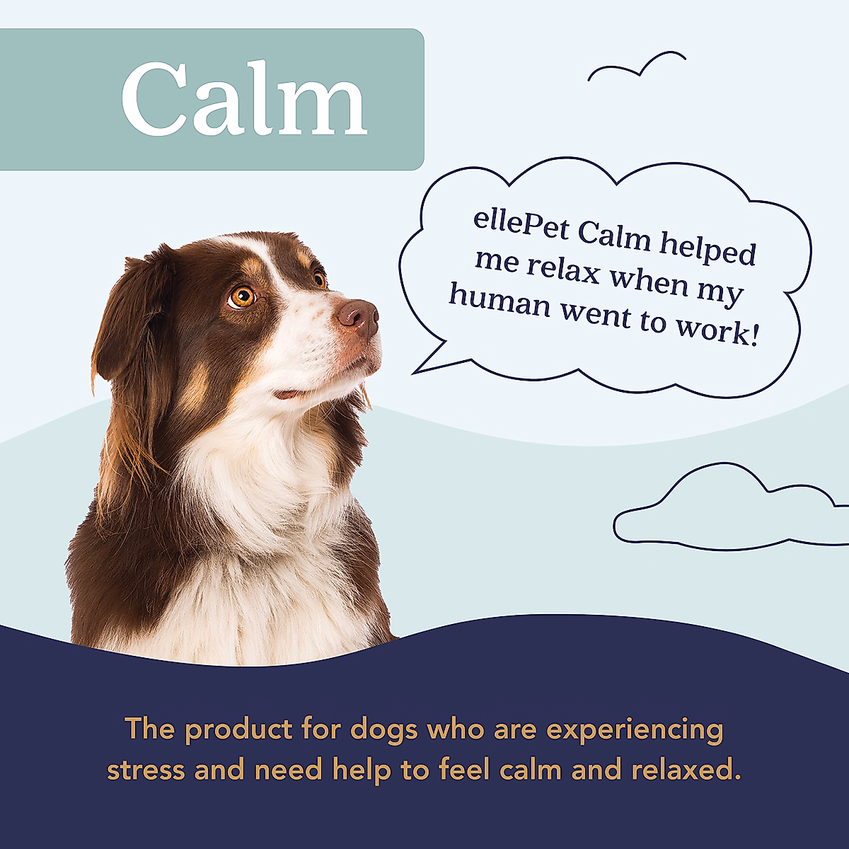 ELLEPET Calm Hemp Calming Chews 10mg for Dogs Under 50lbs - with Proprietary Hemp Oil Blend - Helps with Calming, Stress, Cognitive Support, and Overall Wellness