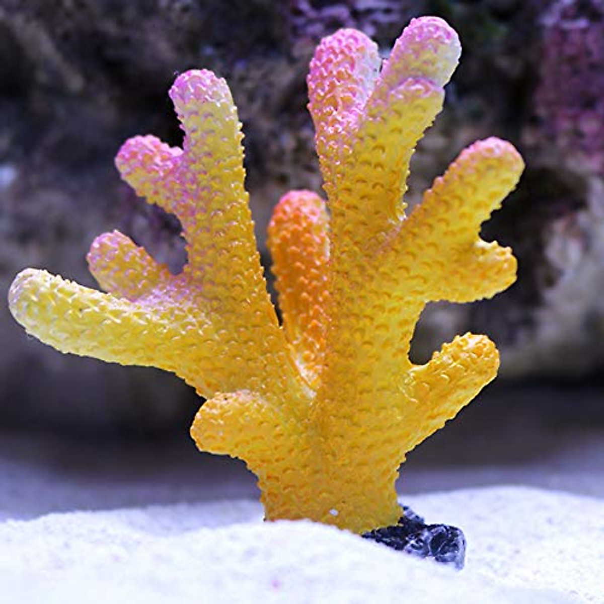 Danmu 10Pcs of Random Style Polyresin Coral Ornaments, Aquarium Coral Decor for Fish Tank Aquarium Decoration Approx. 1.7" in Height