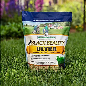 Jonathan Green (10323) Black Beauty Ultra Grass Seed - Cool Season Lawn Seed (25 lb)