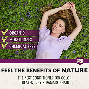 ecoLove - Natural Conditioner for Dry Damaged Hair and Color Treated Hair - With Natural Lavender Extract - No SLS or Parabens - Vegan and Cruelty-Free, 17.6 oz.