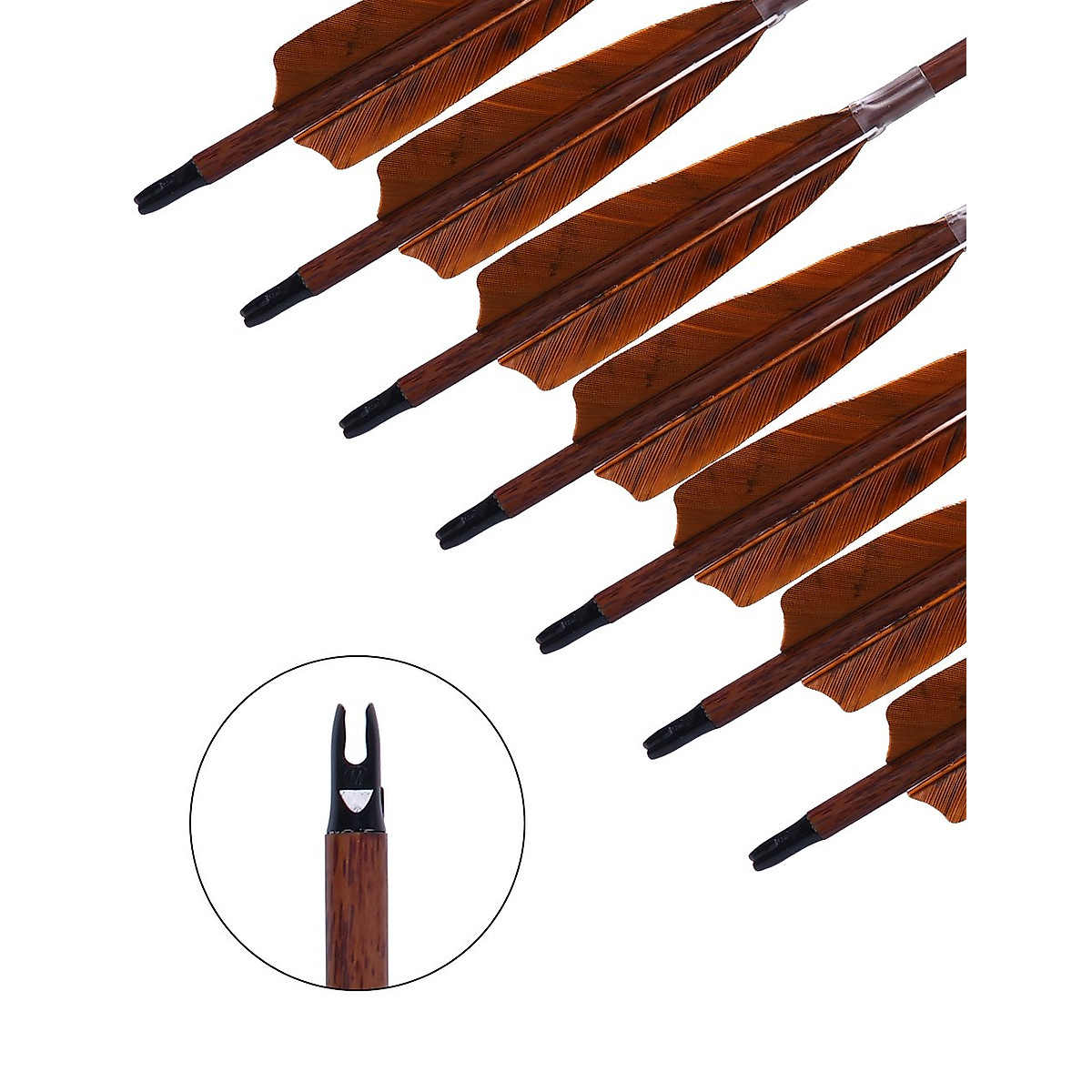 PANDARUS Archery 31-Inch Carbon Hunting Arrows, 4-Inch Turkey Feather Fletching with Replaceable Points, Targeting Practice Arrows Spine 500 for Recurve & Traditional Bows (12 Pack)