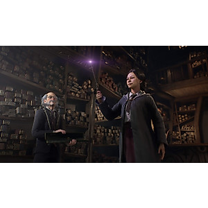 Hogwarts Legacy Collector's Edition - PC