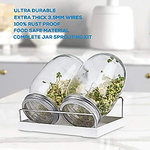 -Seed Sprouting Jar Kit| 2 Wide Mouth Quart Sprout Mason Jars with 316 Stainless Steel Lids,Tray,Stand| Sprouter for Growing Broccoli,Alfalfa (White)