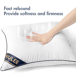 MIULEE 18x18 Pillow Inserts Set of 2 Throw Pillows 18 Inch Premium Down Alternative Pillow Inserts Decorative Pillow Stuffer for Sofa, Couch (18x18 inch, Set of 2)