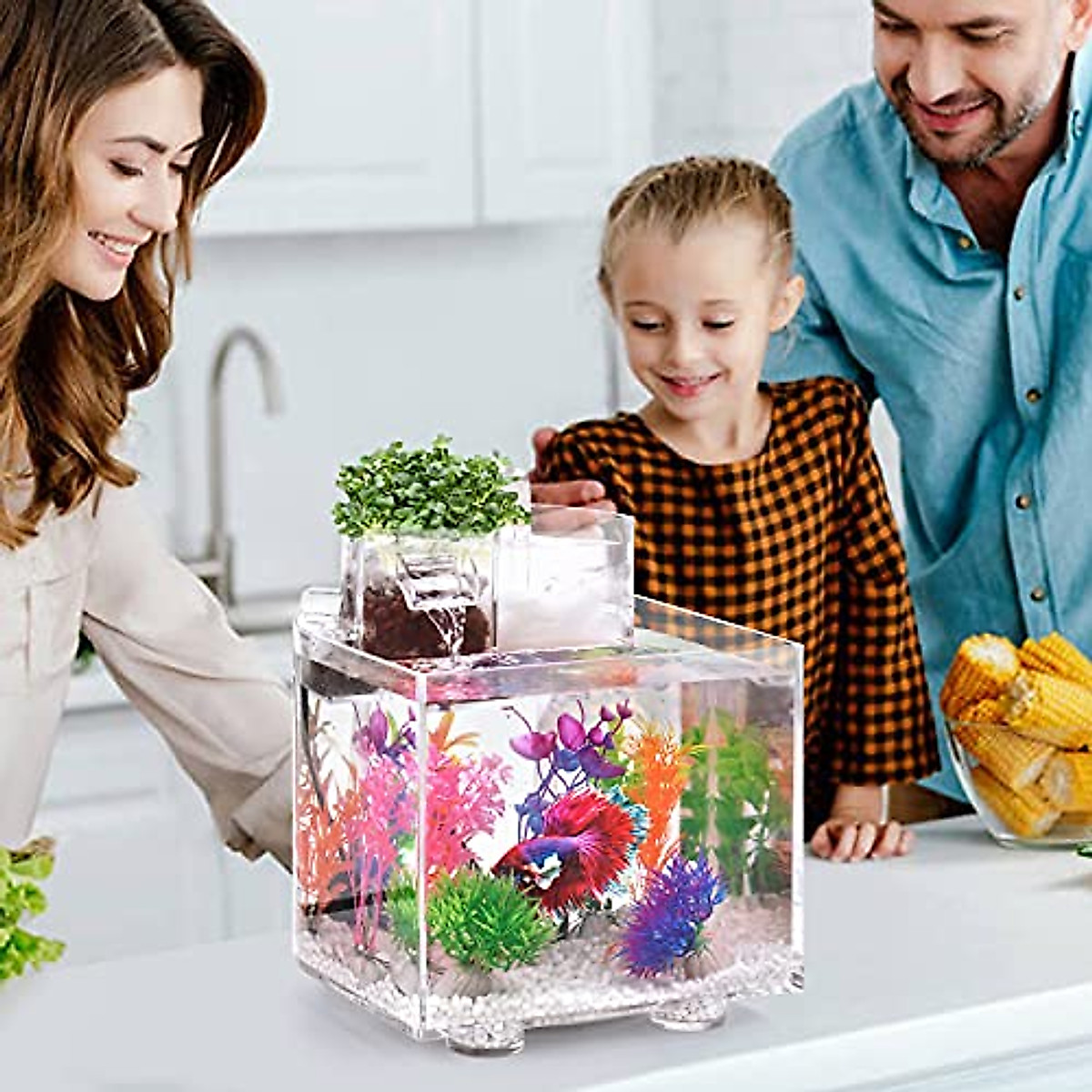 Oltraman Betta Fish Tank - 1.6 Gallon Aquaponics