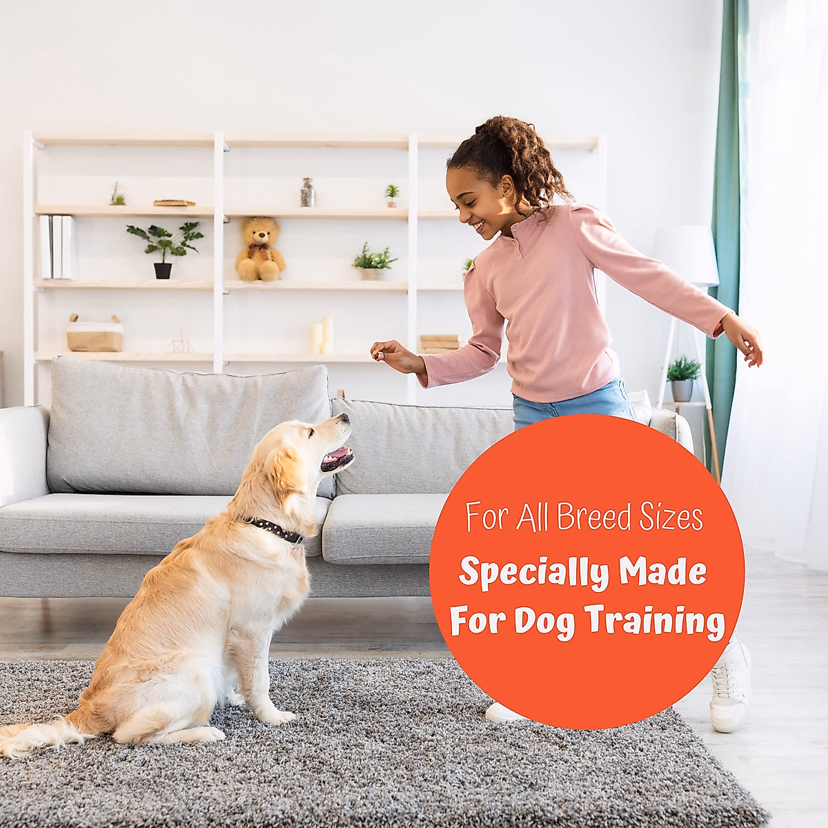 TRICK OR SNACK Premium 1lb Dog Jerky Treats | Dog Training | Dog Walking | Natural Grillers | Healthy Smoked Beef Chicken Salmon Chews Snacks Beef Cranberry Jerky