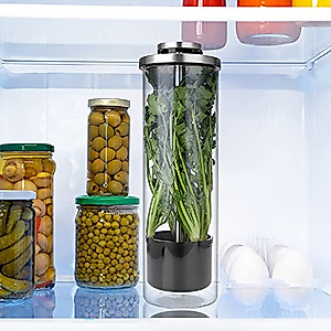 JUXYES Fresh Herb Keeper Saver Asparagus Container Pod, Fresh Herb Keeper Container Herb Storage Container for Cilantro, Mint, Parsley, Asparagus, Keep Greens Fresh, Glass Material, 12.6" Height
